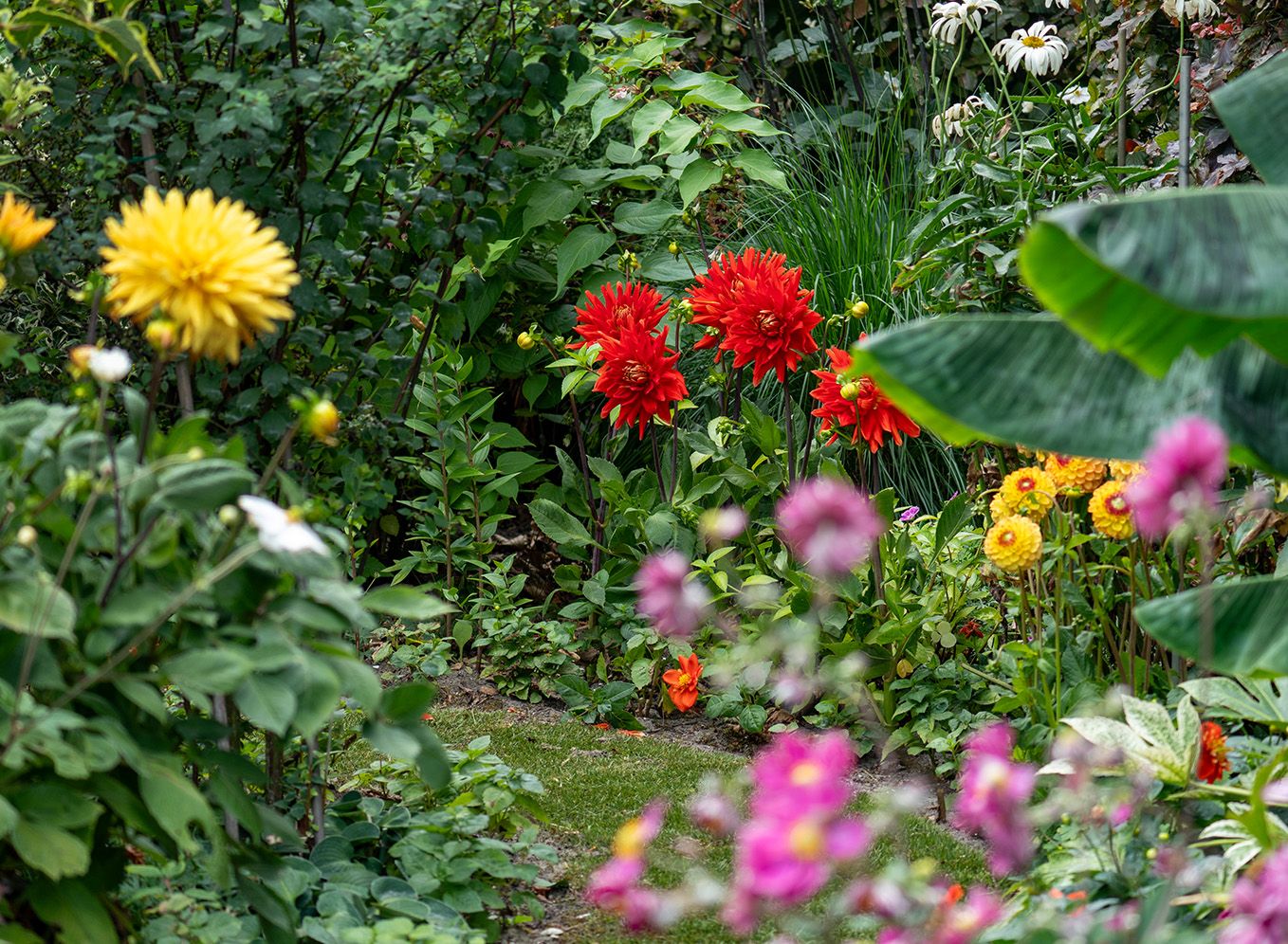 Tuintrend 2025 - Unique Utopia